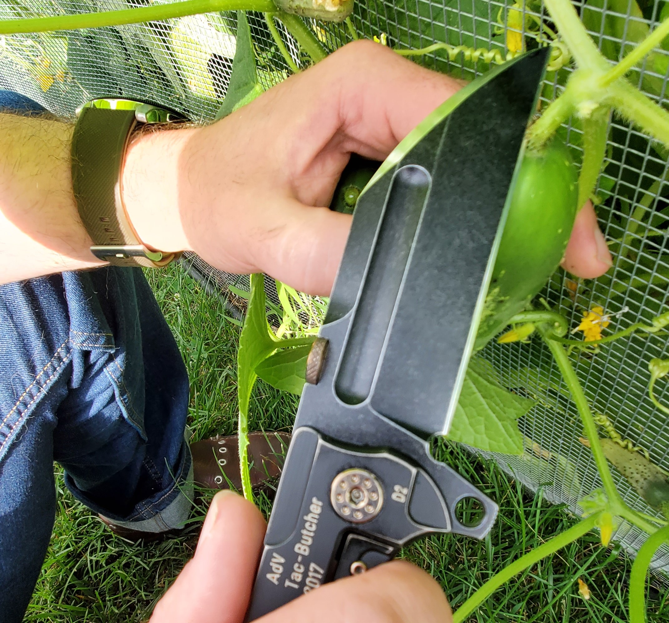 Gleaming Edge Sharpening LLC